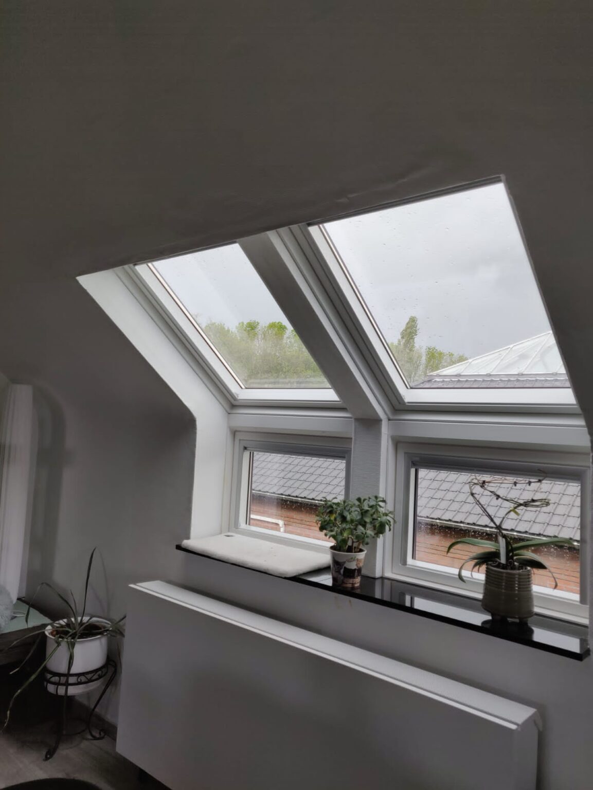 Wil je meer informatie over een VELUX gevelement? | Dak Plus